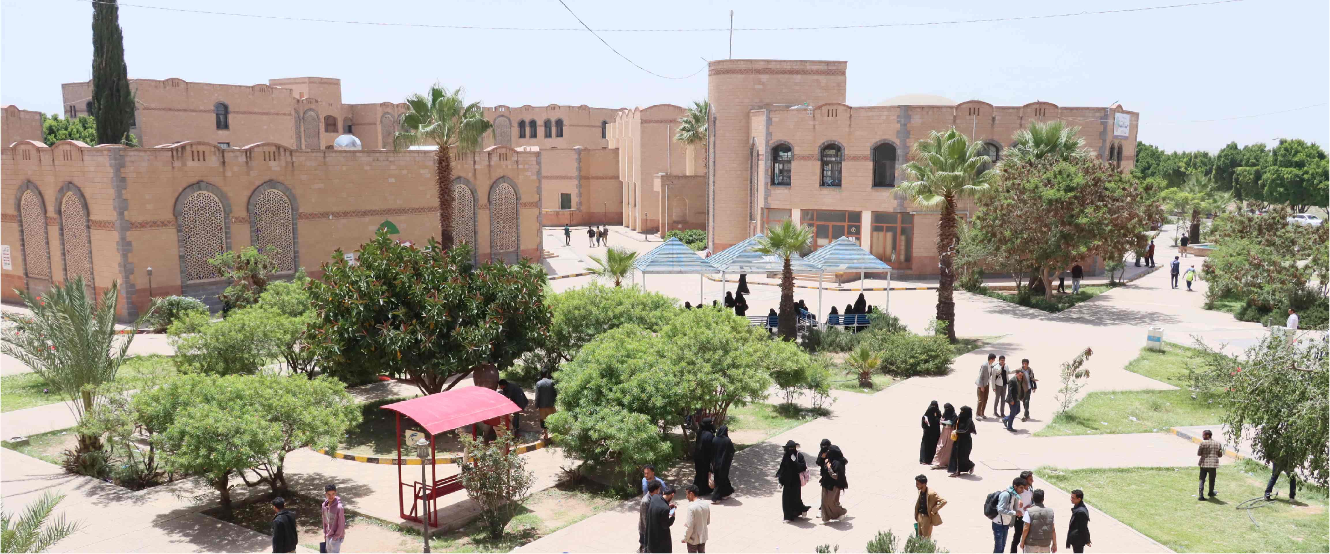 جامعة ذمار -THAMAR UNIVERSITY